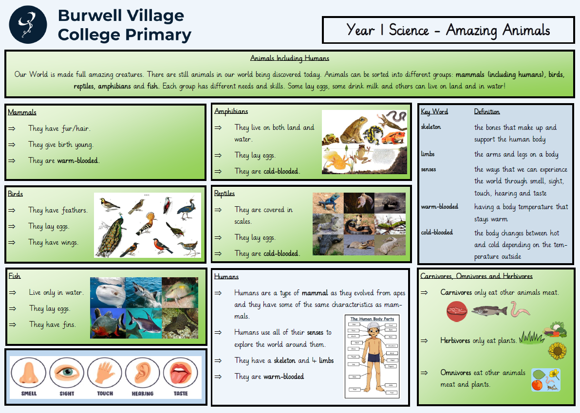 Year 1 - Burwell Village