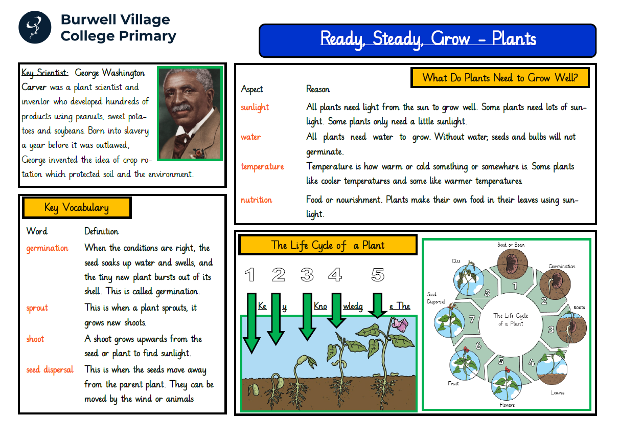 Year 2 - Burwell Village